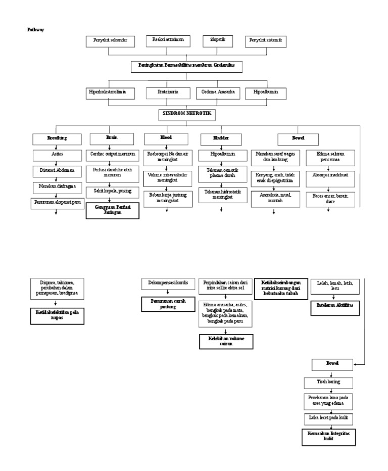 Pathways Sindrom Nefrotik | PDF