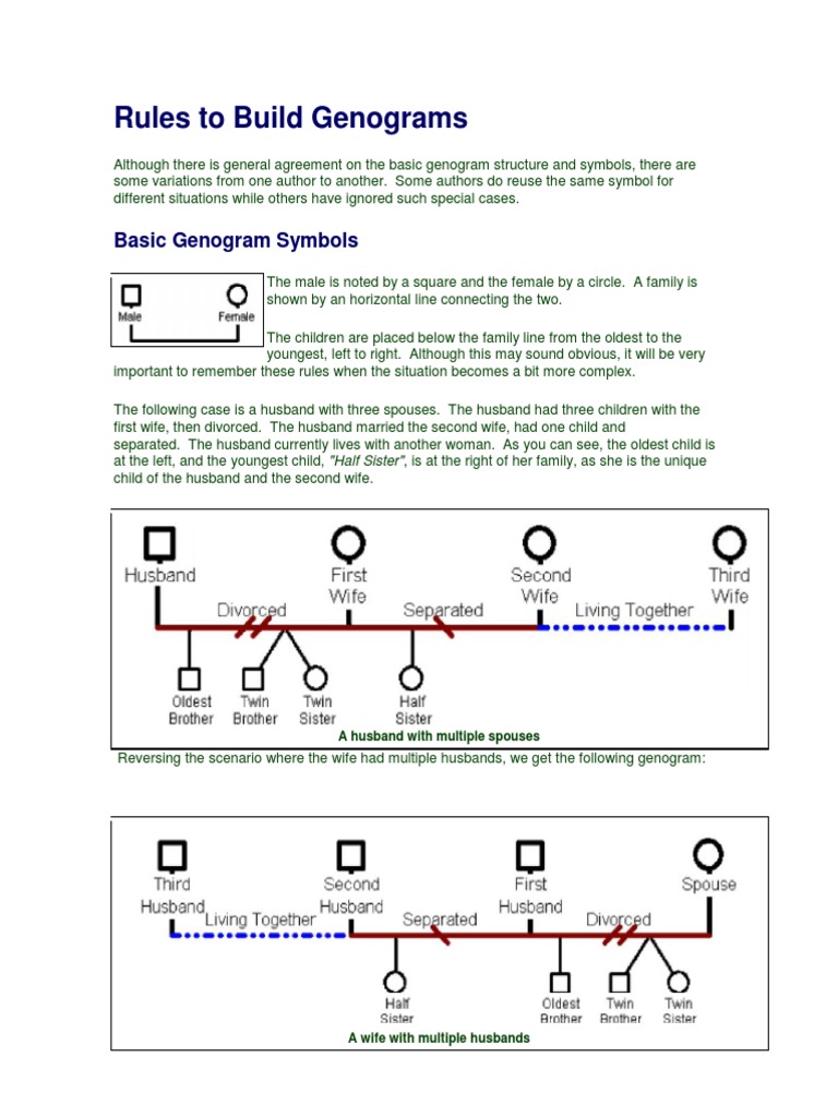 Genogram Building Rules and Symbols | PDF | Multiple Births | Human ...