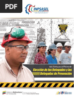 Formatos INPSASEL Delegado de Prevencion y Representante Del Patrono | PDF