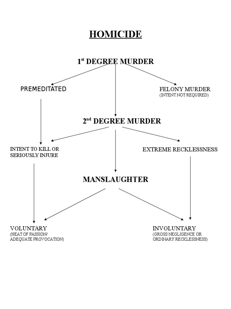 Homicide Laws: Degrees and Intent | PDF