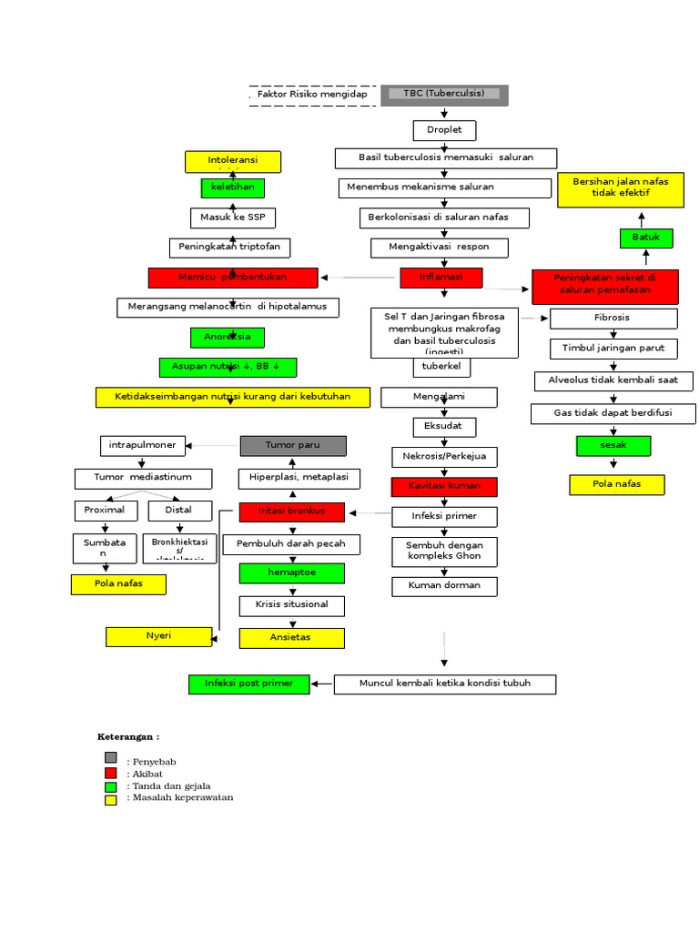 Mind Mapping TB | PDF