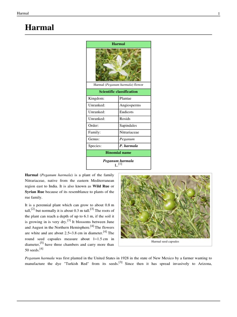 Harmala Peganum | PDF | Agriculture | Plants