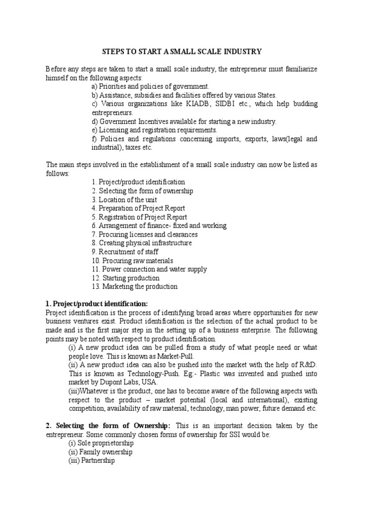 Steps To Start SSI | PDF | Feasibility Study | Entrepreneurship