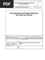 Procedimiento de Flushing | PDF | Presión | Tubería (transporte de fluidos)