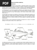 Tipos y funciones de las aletas en peces | PDF | Pescado | Vertebrados ...