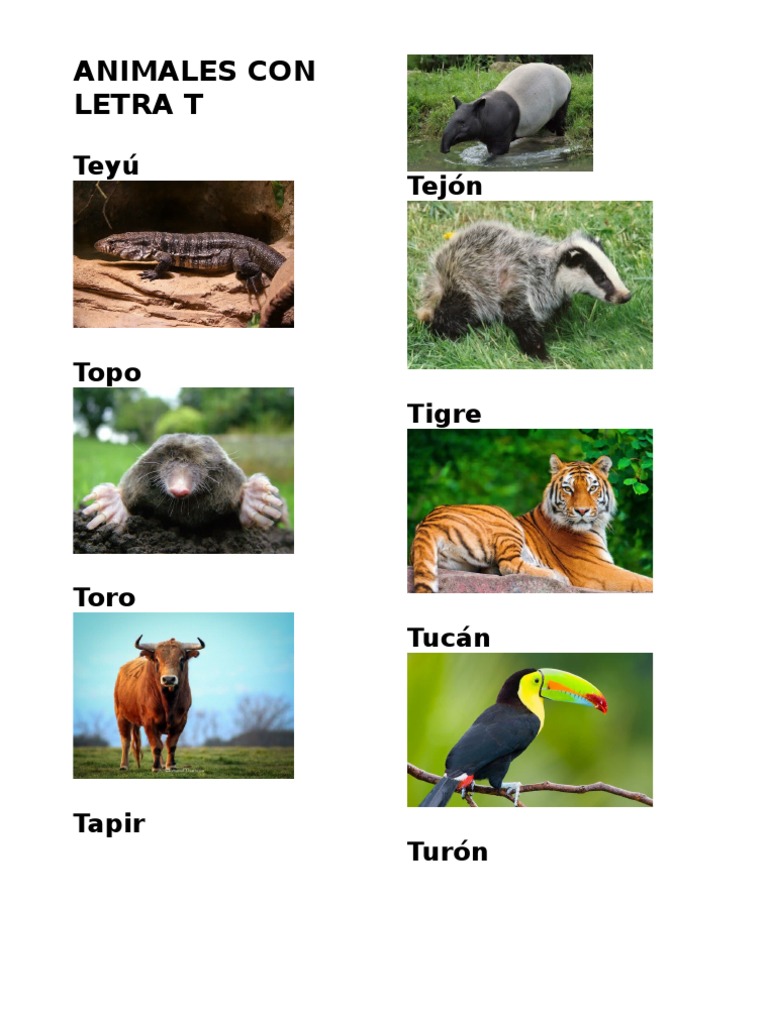 20 Animales Con Letra T | PDF