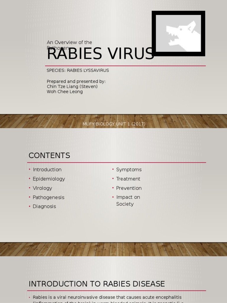 Rabies Virus: An Overview of The Pathogen | PDF | Rabies | Virus