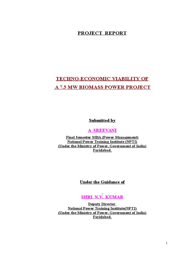 Biomass Report | PDF | Biomass | Energy Development