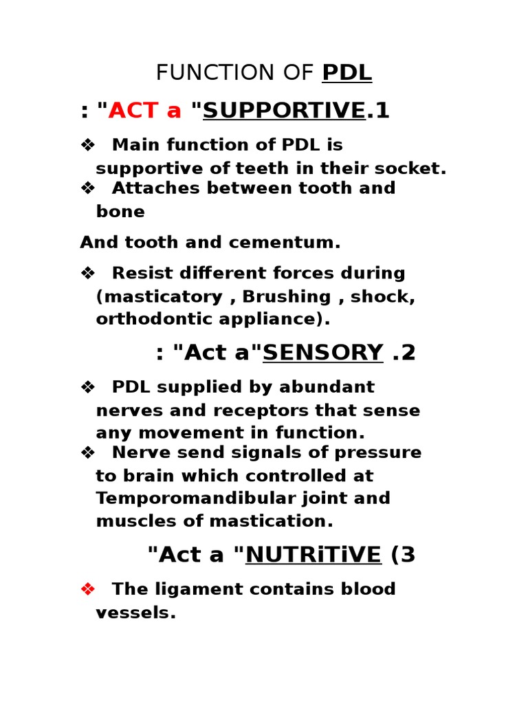 Function of PDL | PDF
