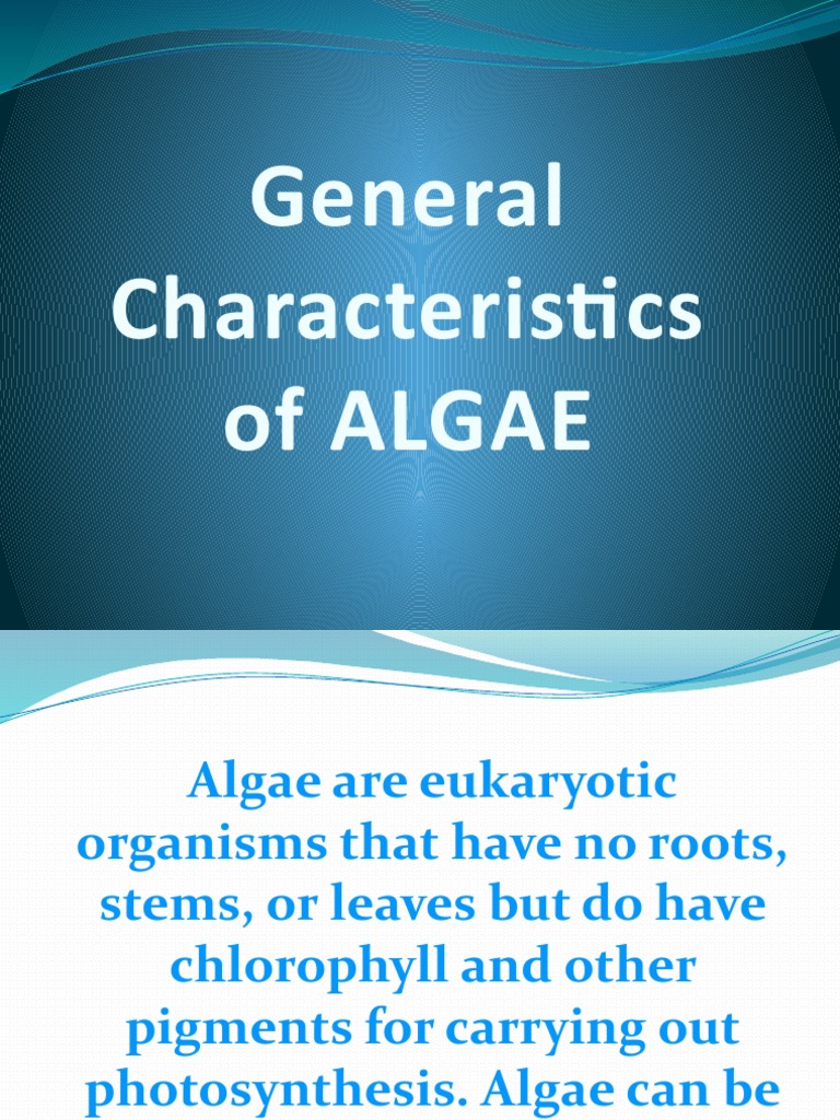 General Characteristics of Algae | PDF | Organisms | Algae