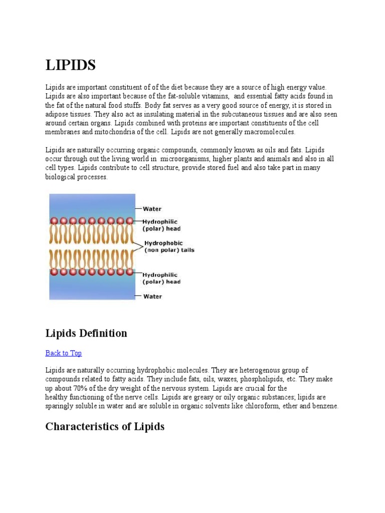 Additional Lipid Notes on Introduction | Lipid | Fat
