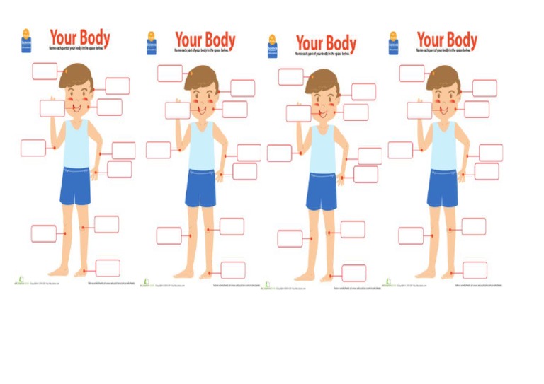 My Body Worksheet | PDF