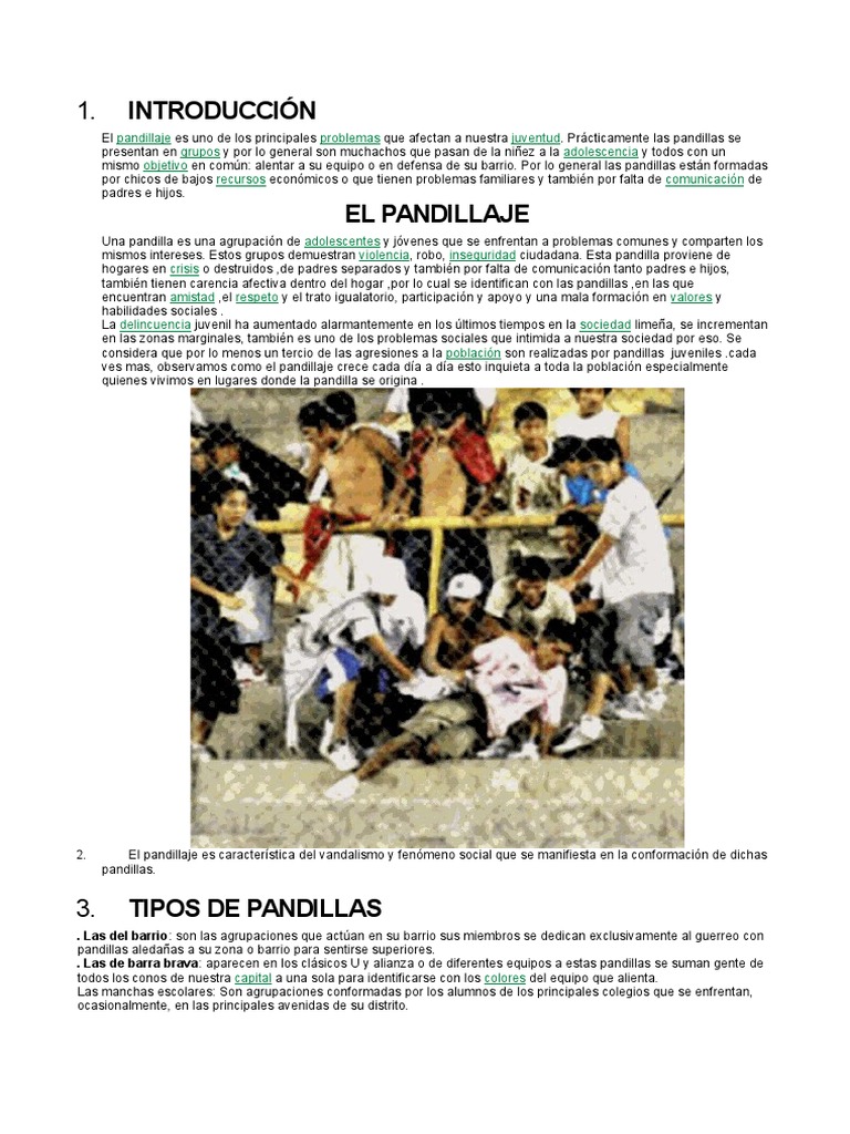 El Pandillaje | PDF | Juventud | La delincuencia juvenil