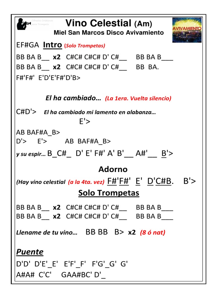009 - Miel San Marcos - Vino Celestial FINAL | PDF