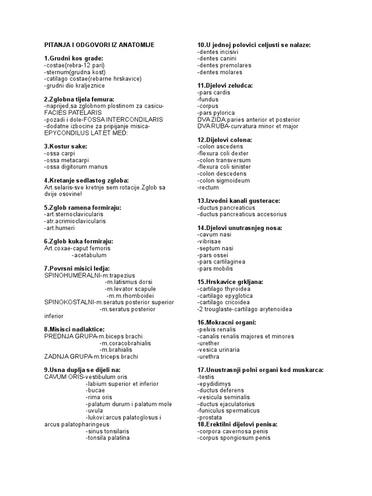 Sva Pitanja Iz Anatomije | PDF