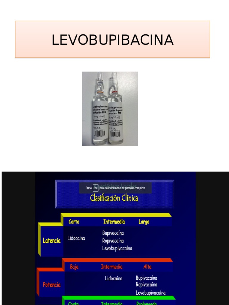 Levobupivacaina | PDF
