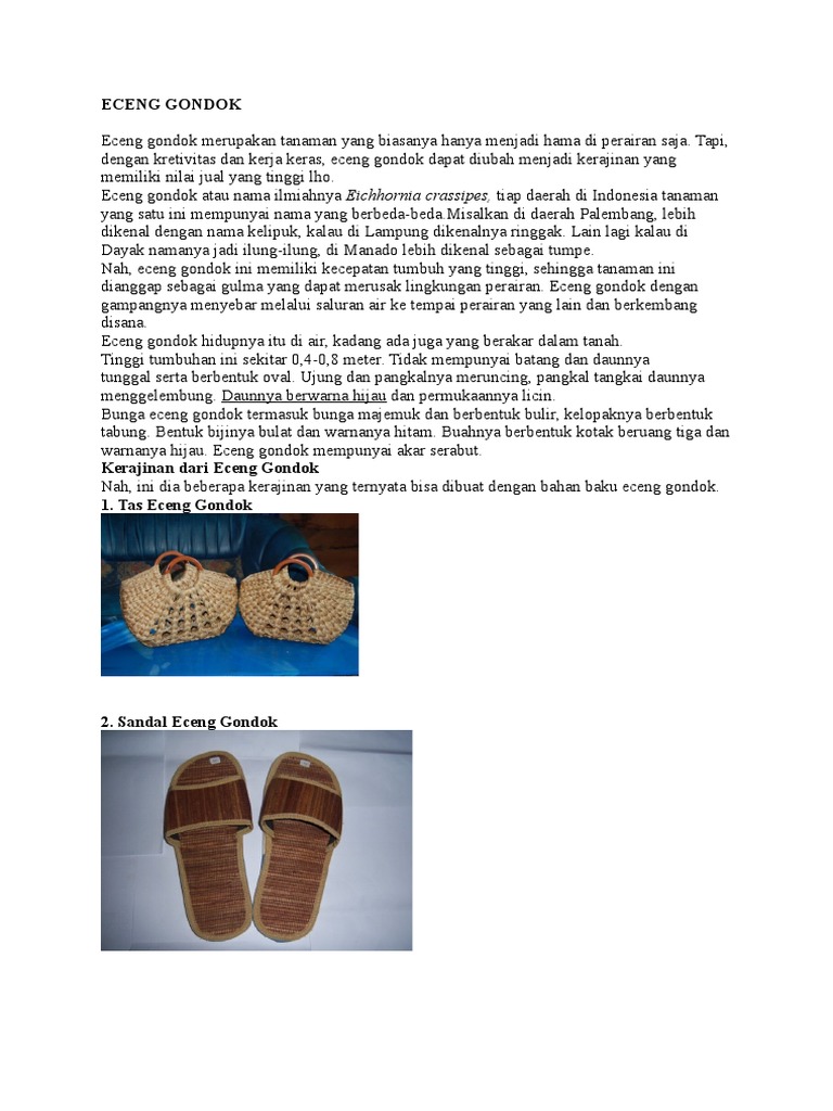 Serat Eceng Gondok | PDF