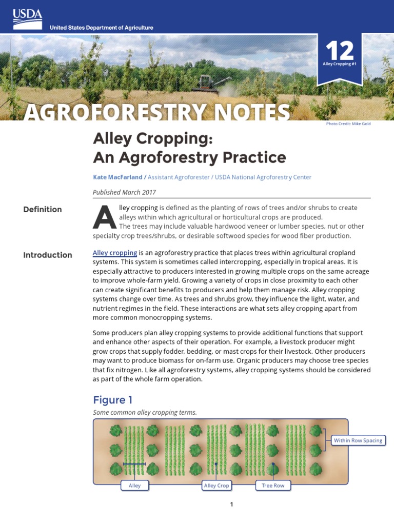 Alley Cropping An Agroforestry Practice | PDF | Trees | Land Management