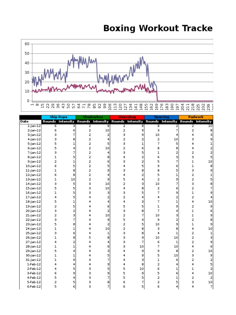 Boxing Workout Tracker | PDF | Individual Sports | Combat Sports