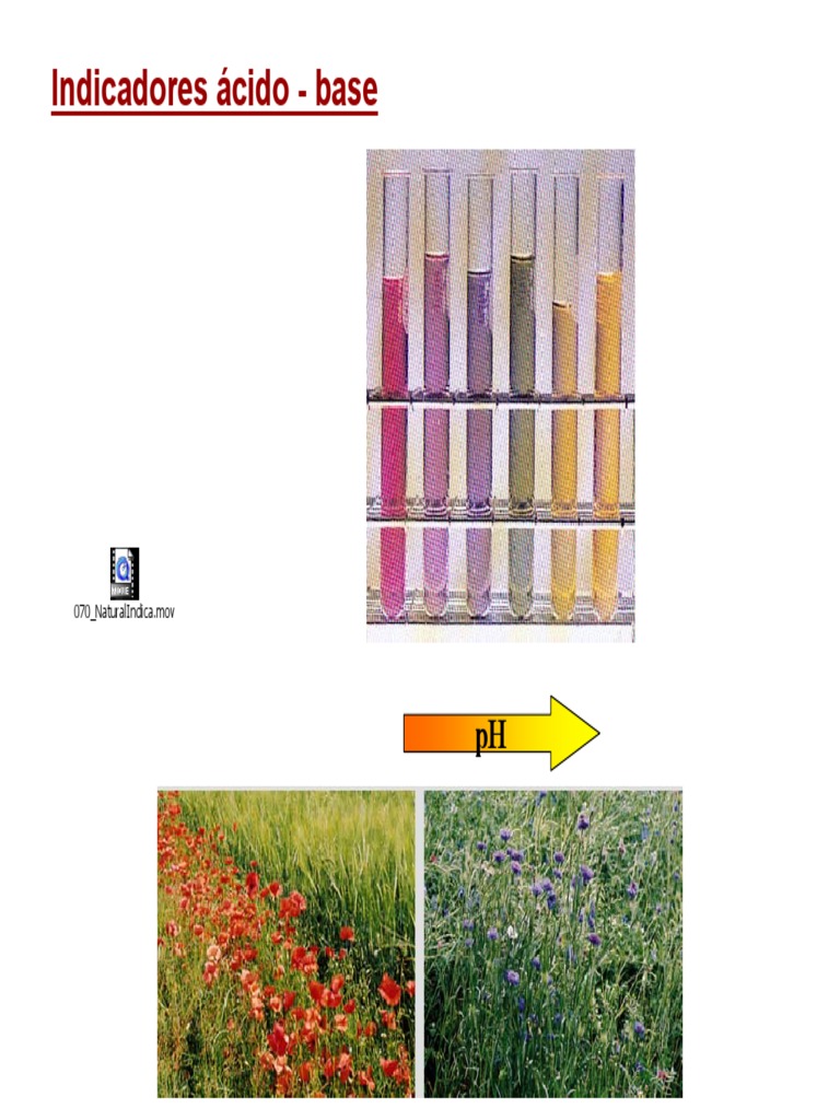 Indicadores ácido-base.pdf | Química | Valoración