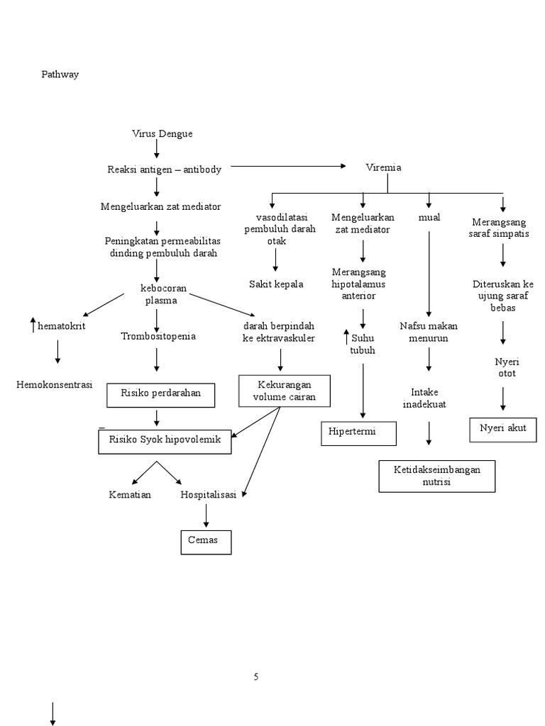 Pathway Demam Dengue pada Anak | PDF