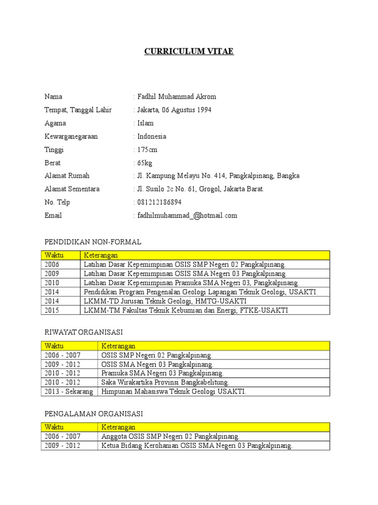 CV Fadhil Muhammad Akrom | PDF