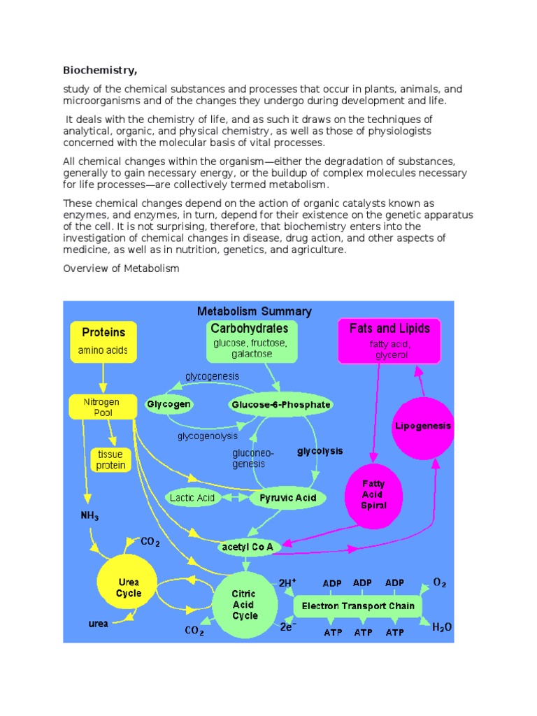 Chemistry Physical Chemistry: Biochemistry | PDF | Metabolism ...