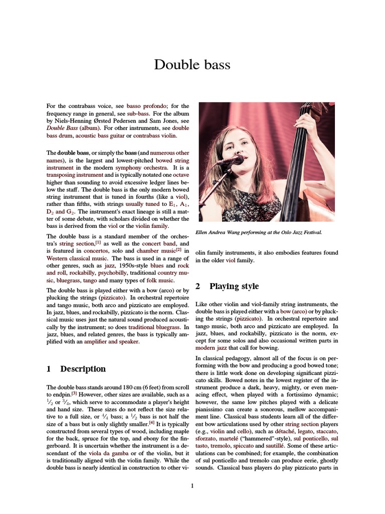 Double Bass | PDF | Double Bass | String Instruments