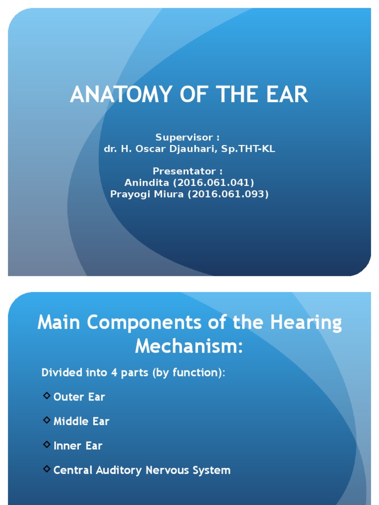 Anatomy of Ear | PDF | Ear | Auditory System