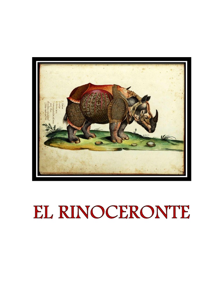 El rinoceronte | Rinoceronte | Mamíferos