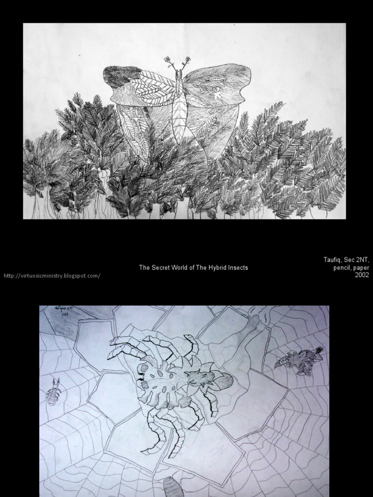 Sec 2NT's Hybrid Insect Art | PDF