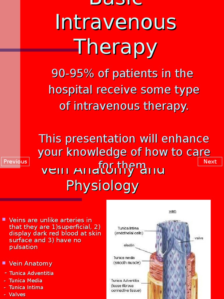 Web Based IV Therapy | PDF | Intravenous Therapy | Angiology