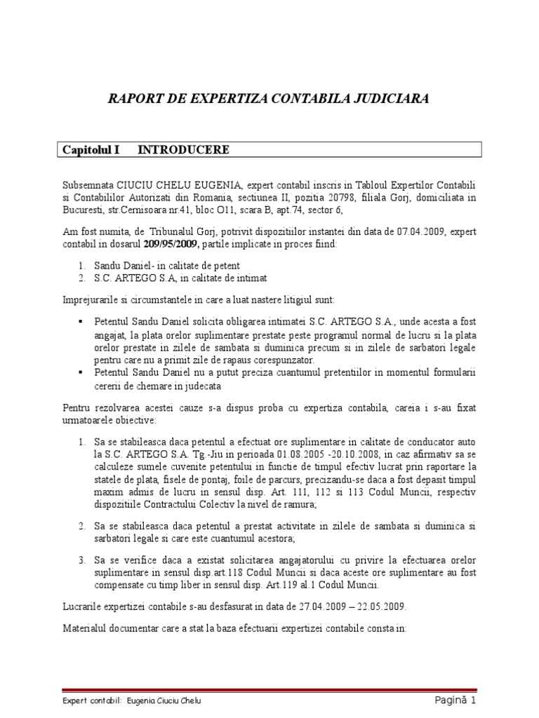 Expertiza Contabila-Raport | PDF