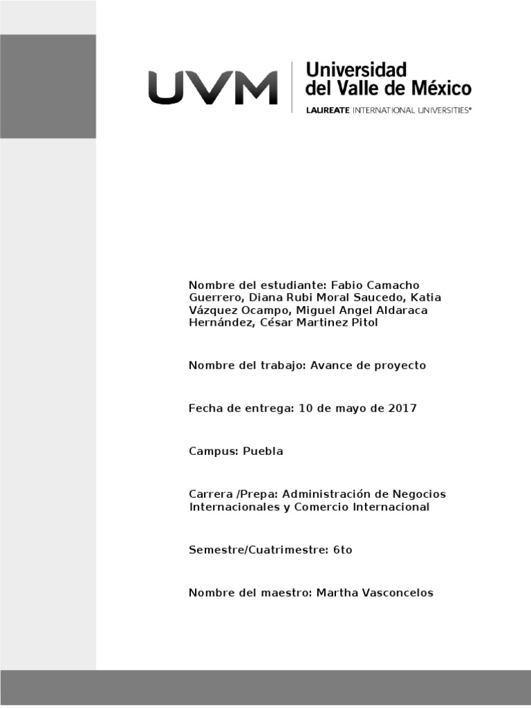 Estrategias de Marca de Helados Holanda | PDF | Unilever | Business
