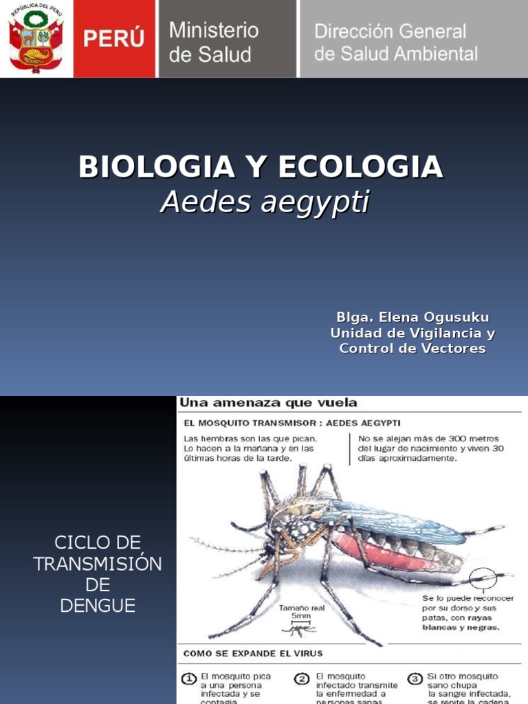 Biología y Ecología de Aedes Aegypti | PDF | Huevo | Enfermedades animales