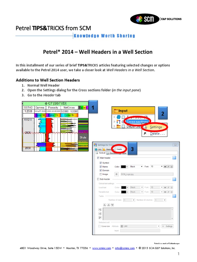 Petrel 2014 - Well Headers in A Well Section | PDF | Computing ...