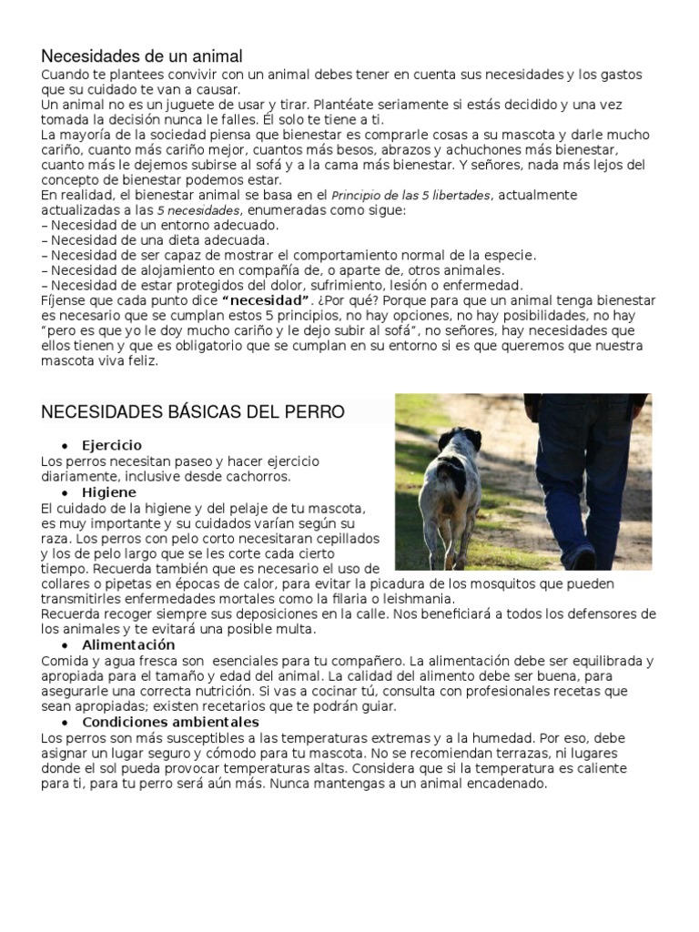 Necesidades de Un Animal | PDF | Mascota | Perros