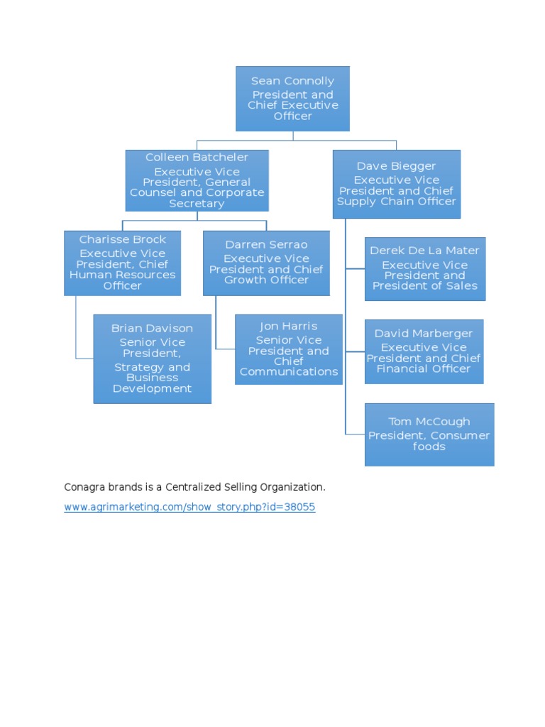 Conagra Brands Is A Centralized Selling Organization | PDF
