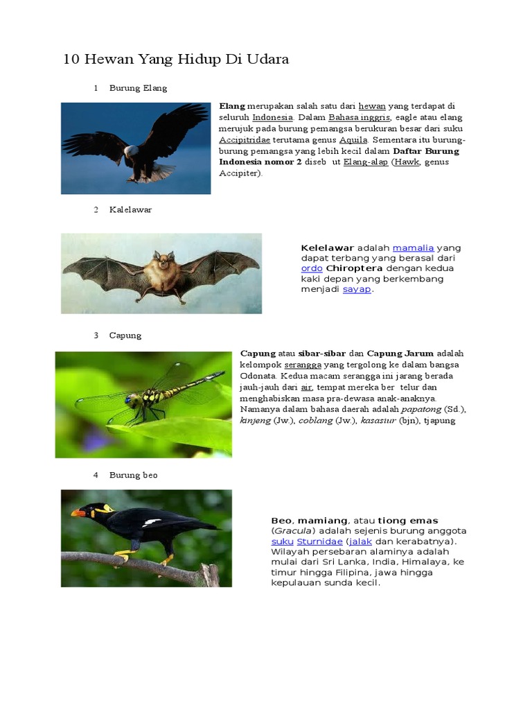 10 Hewan Yang Hidup Di Udara | PDF