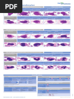 Haemonetics PCS2 - Operation Manual | PDF | Blood Donation | Blood Plasma