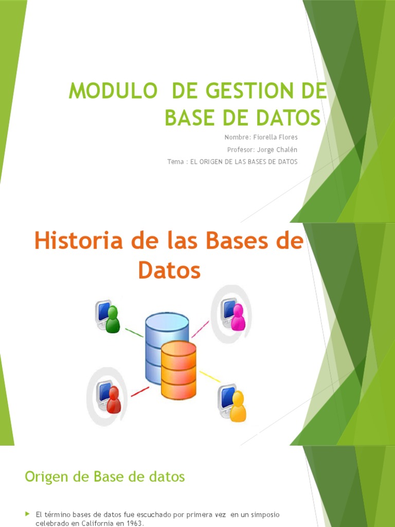 Base de Datis | PDF | Bases de datos | Contabilidad