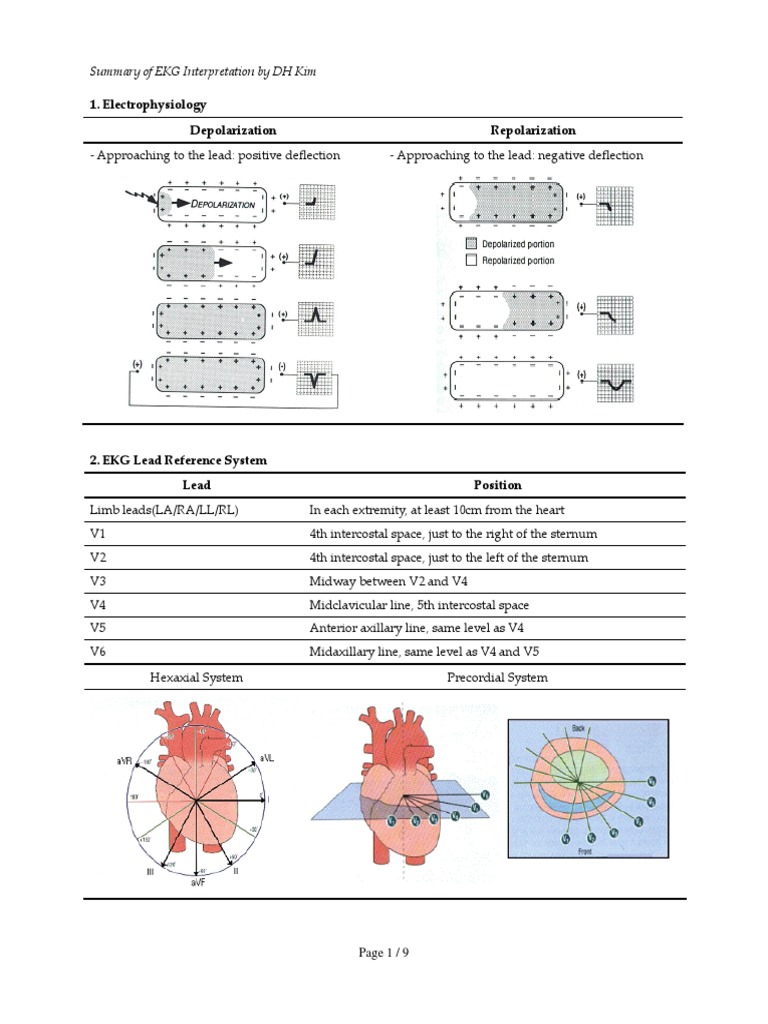 EKG Cheat Sheet | PDF | Electrocardiography | Cardiovascular System