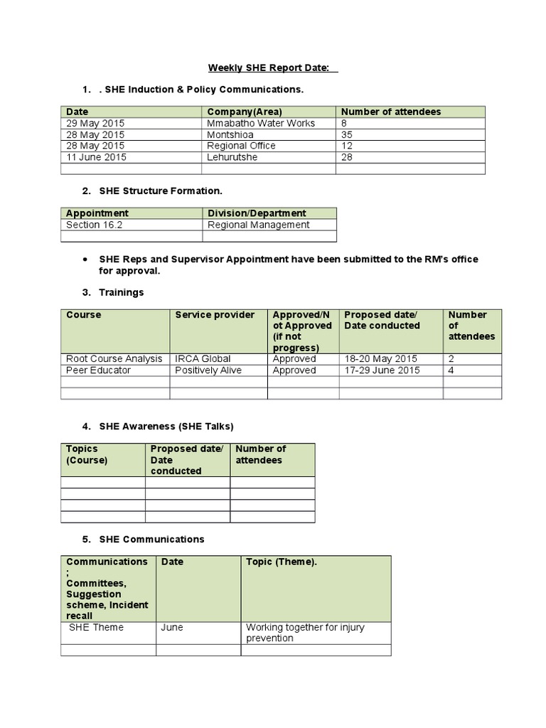 SHE Weekly Report For Mahikeng | PDF