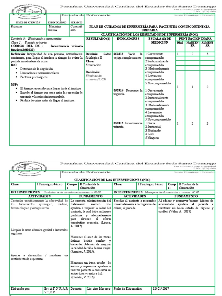 Nanda Nic Noc Incontinencia Urinaria | Medicina | Especialidades Medicas