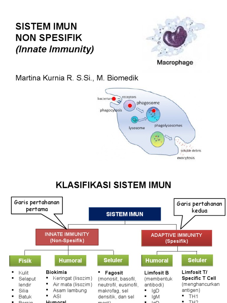 Mekanisme Sistem Imun Non Spesifik | PDF