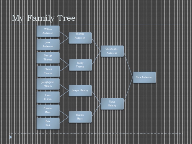 My Family Tree | PDF
