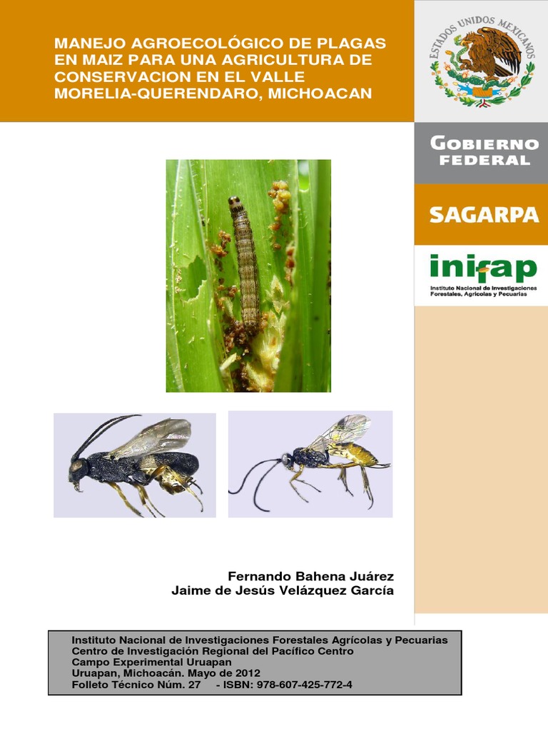 MAIZ Manejo Agroecologico de Plagas para Una Agricultura de Conservación | PDF | Plaga ...