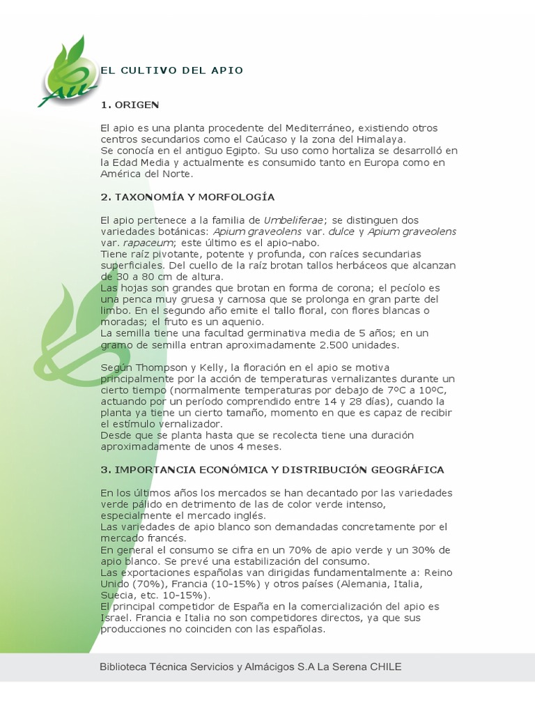 El cultivo del apio: origen, taxonomía, requerimientos, variedades y ...