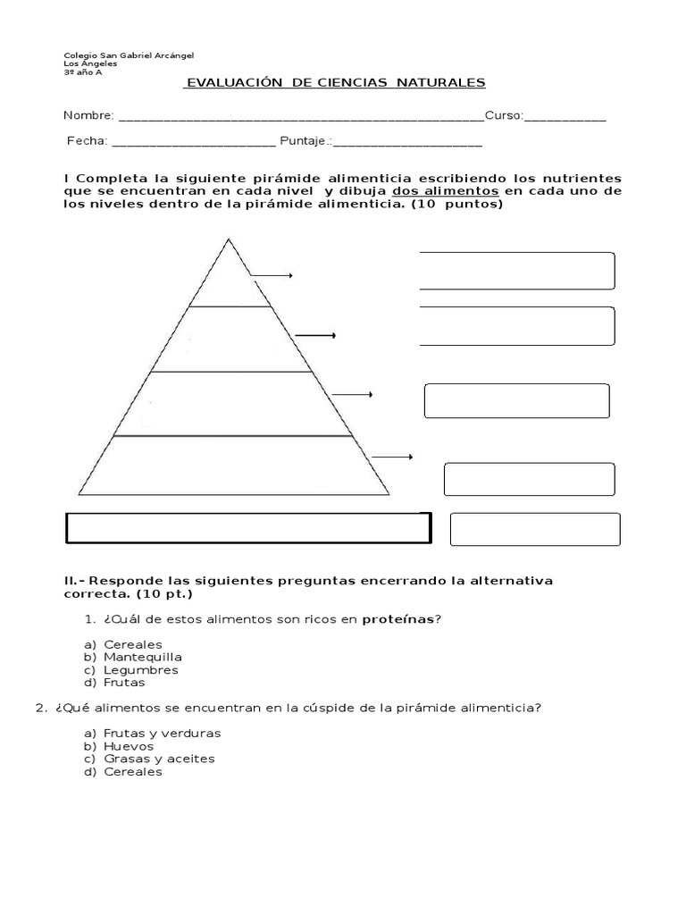 Prueba de Alimentos 3º | PDF | Dieta | Alimentos