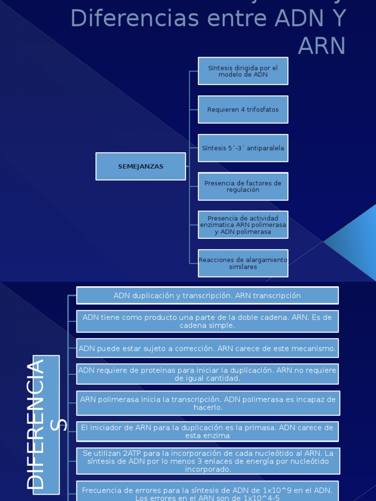 Semejanzas y Diferencias Entre ADN Y ARN | PDF | Adn | Rna